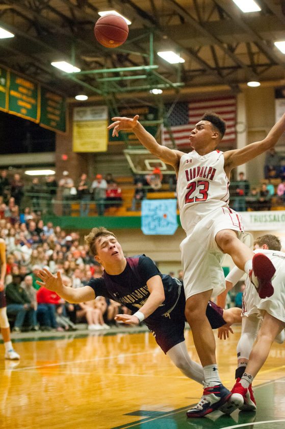 Baby Birds | News, Sports, Jobs - Post Journal